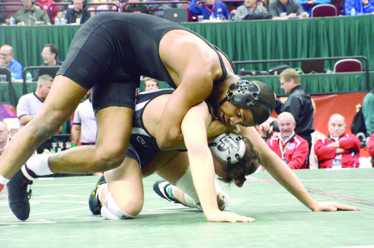 Big Red’s Hubbard, Ely garner runnerup titles | News, Sports, Jobs ...